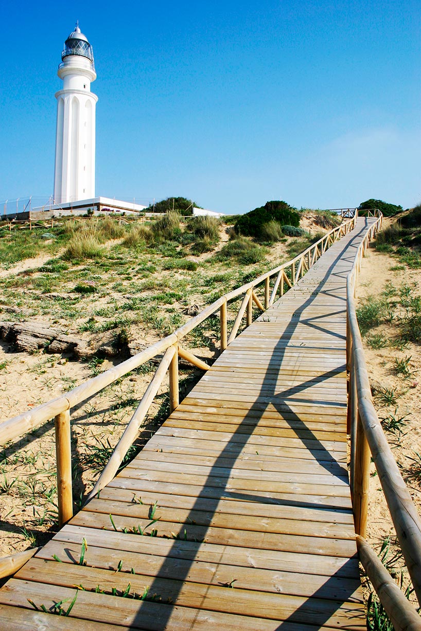 Vender fotos en Alamy - Cómo vender fotos y vídeos en Internet